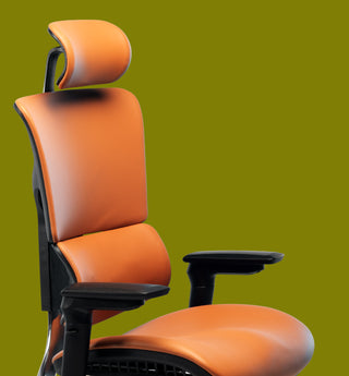 Shop X-Chair Office Chairs and Accessories | X-Chair Official Site