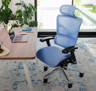 Shop X-Chair Office Chairs and Accessories | X-Chair Official Site