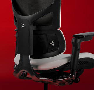 Shop X-Chair Office Chairs and Accessories | X-Chair Official Site