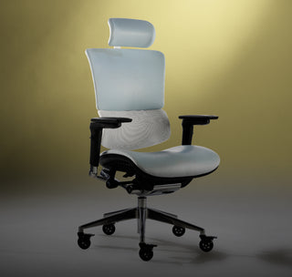 Shop X-Chair Office Chairs and Accessories | X-Chair Official Site